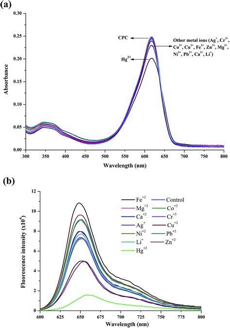 C Phycocyanin As A Potential Biosensor For Heavy Metals Like Hg 2 In