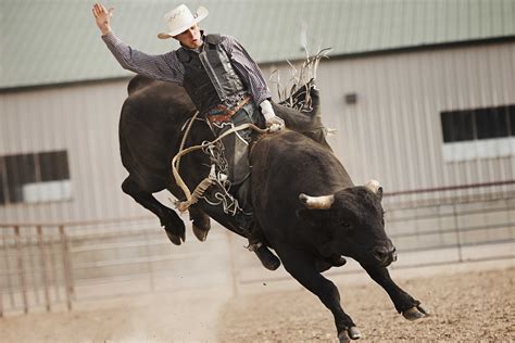 🔥 Free Download Pbr Bull Riding Wallpaper Professional Bull Riders