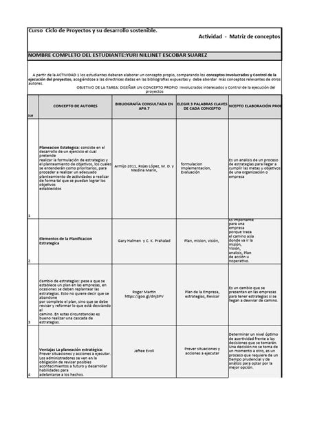 Matriz De Conceptos 1 Pdf Planificación Business