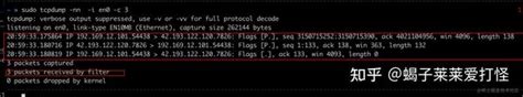 tcpdump详解 实战 知乎