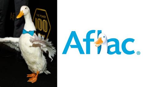 15 Best Mascot Logos And Brand Characters In 2026