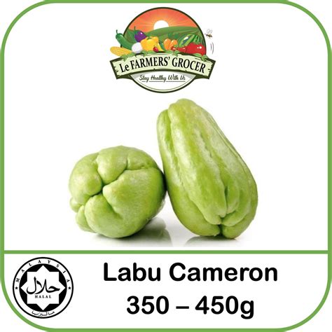 Labu Cameron 佛手瓜 350g 450g Fresh Veg Shopee Malaysia