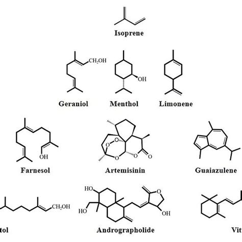 Chemical Structure Of Terpenoids Download Scientific Diagram