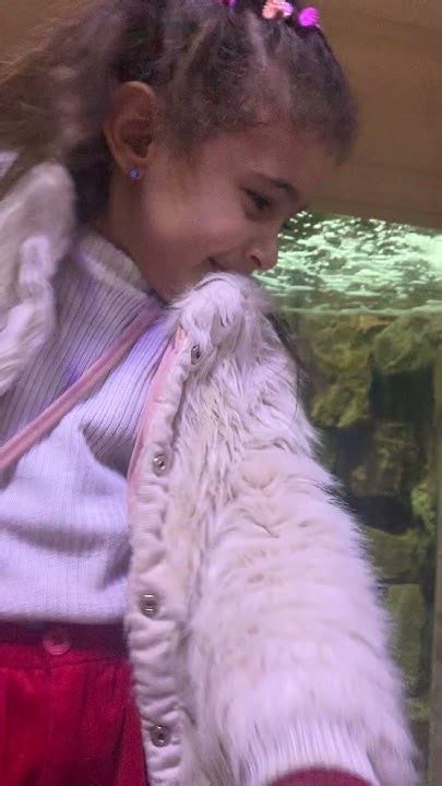 انا كدا تمام😡😡😡 تيكتوك اكسبلور Youtube