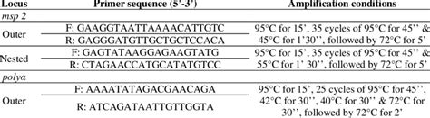 Primers Sequences And Amplification Conditions Download Scientific