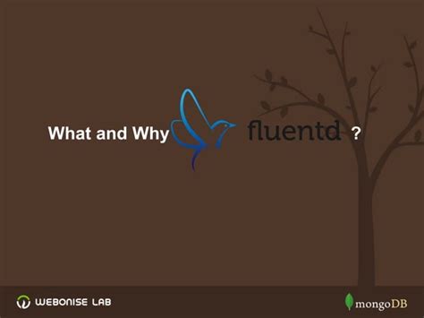 Centralized Logging System Using Mongodb Pdf