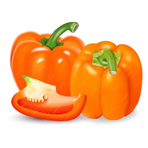 Premium Vector Realistic Fresh Capsicum Vector Isolated