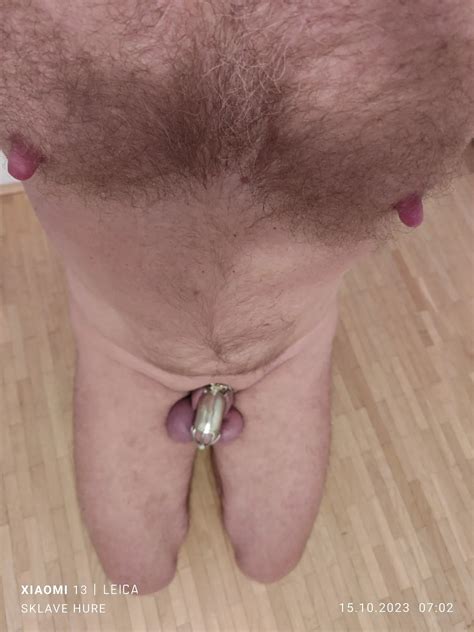 Weighing Cagecheck Separated Eggs Oktober 15 2023 14 Nude Pics