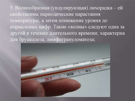 Лихорадка. Виды - online presentation