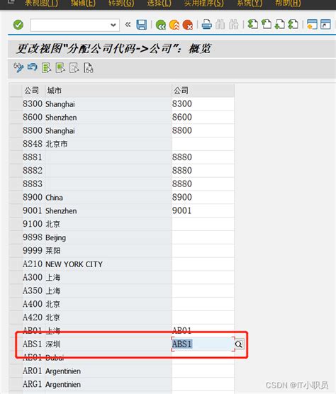 Sap S4 Fi后台详细配置教程 Part1 （通用配置及基础架构篇）sap S4 Fico配置清单 Csdn博客