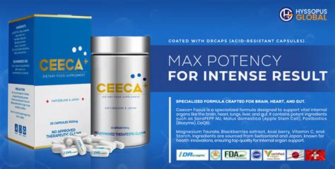 Hyssopus Global 2024 Official Website