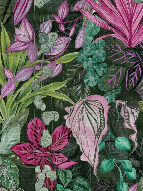Buy Riva Paoletti Pink Veadeiros Wallpaper From The Next Uk Online Shop