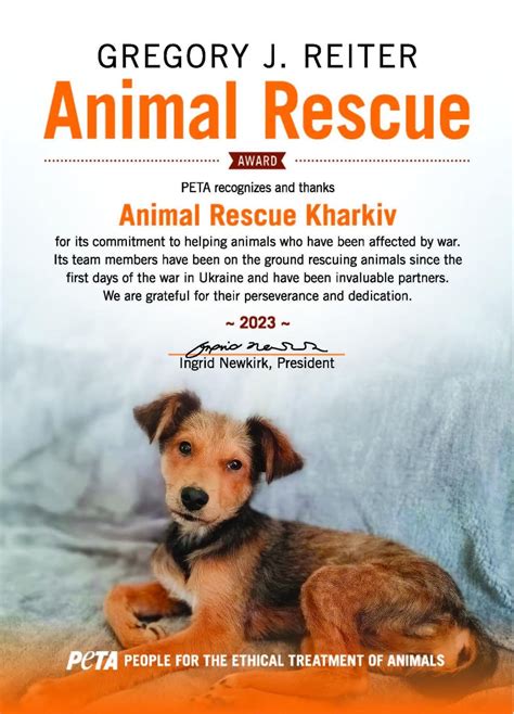 Today February 24 Marks Two Years Since Russias Full Scale Invasion Of Ukraine Of All The