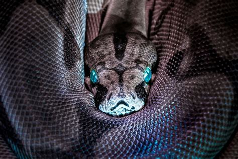 usando python como lenguaje de script