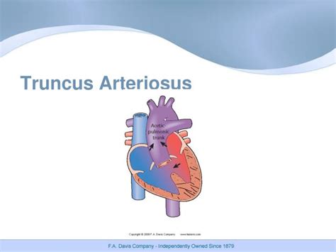 Ppt Chapter 27 Powerpoint Presentation Id472103