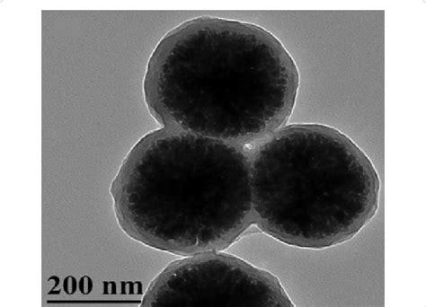 Fe 3 O 4 C Core Shell Nanoparticles Consist Of A Magnetic Core And