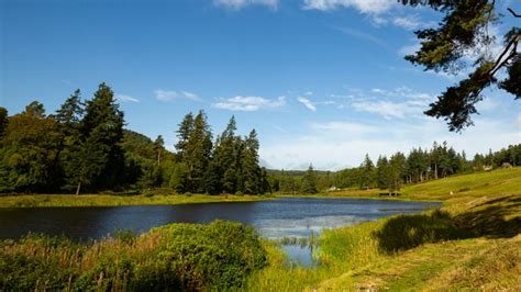 Explore Cragsides Garden │ Northumberland National Trust