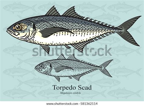 Torpedo Scad Over 3 Royalty Free Licensable Stock Illustrations