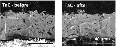 Tac 涂层石墨晶片载体 Momentive Technologies