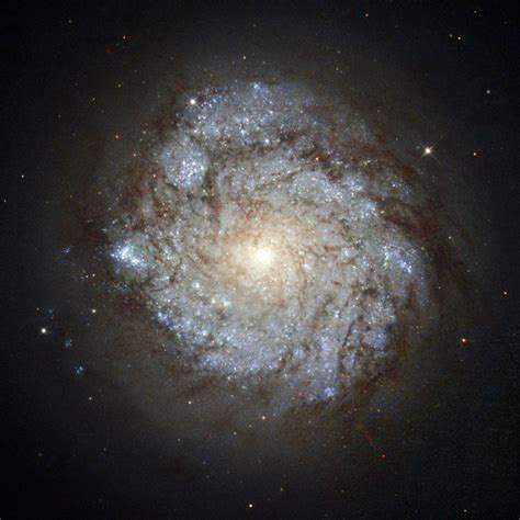 Cassiopeias Unusual Resident Esahubble
