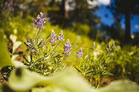 How To Set Up Back Button Autofocus And Why You Should PetaPixel