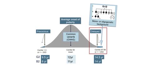 Understanding Delayed Puberty Causes Symptoms And Treatment Options