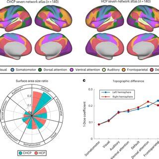 Brain Activations In The Tasks From The Chcp And Hcp Data A The