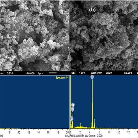 Sem Micrographs Before Adsorption A After Adsorption B Download