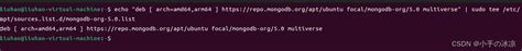 【大数据存储技术】实验2：mongodb数据库的部署和操作mongodb Driver Sync Csdn博客