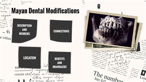 Mayan Dental Modifications By Ambar Vasquez On Prezi