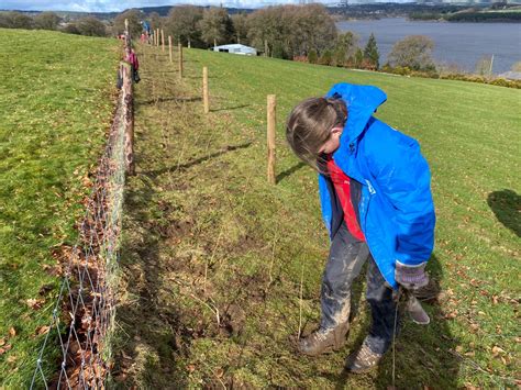 Hedgerow Planting Hedgerows Ireland