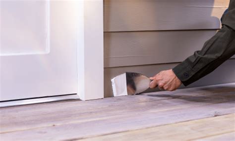 Flex Paste Flex Seal Australia