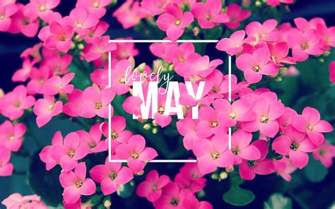 May Spring Wallpapers Wallpaper Cave