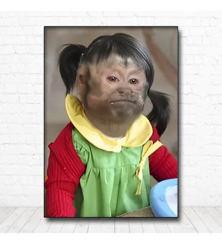 Cuadro Decorativo Meme Mono Georgie Chilindrina F2073 Meses Sin Interés