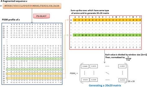 Flow Chart Of Generating A 20 × 20 Matrix Based On The Pssm Profile Download Scientific Diagram