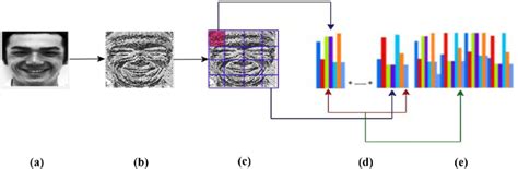 Steps Involved In Obtaining Final Feature Vector A Sample Image From