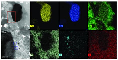 Stem Eds Maps Of Region 4 In Figures 3 And 4 Download Scientific Diagram