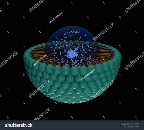 Solid Lipid Nanoparticle Nanodrugs Carrier D Stock Illustration Shutterstock