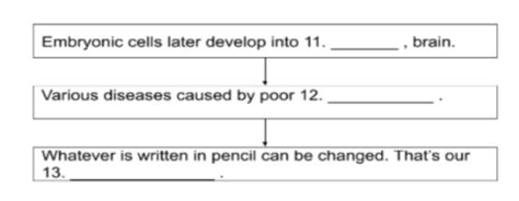 Using Twins Reading Answer