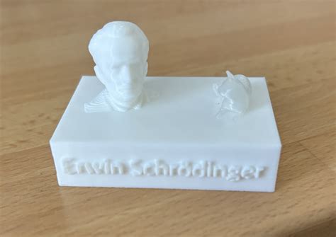 Schrodinger And His Cat By S G Ansari Download Free Stl Model