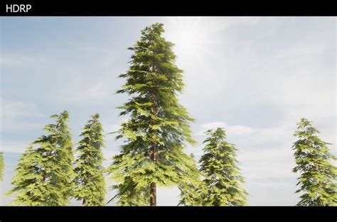 Mobile Pine Pack