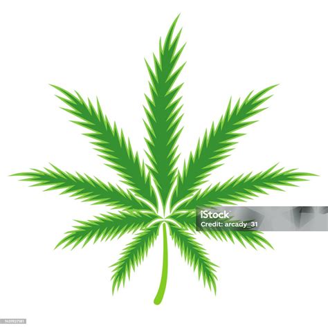 Kartun Vektor Daun Ganja Ilustrasi Stok Unduh Gambar Sekarang
