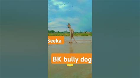 سیکا سردار قيوم خان والا Youtube