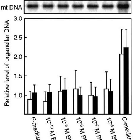 Pleiotropic Abnormalities Displayed By D11 Mutants Download