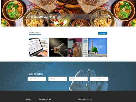Backend Wordpress Developer Web Developer Upwork