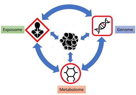 Metabolomics In Cancer Research And Emerging Applications By