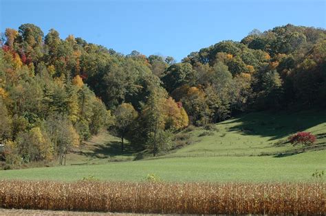 North Carolina Farms For Sale North Carolina Wineries And Estates