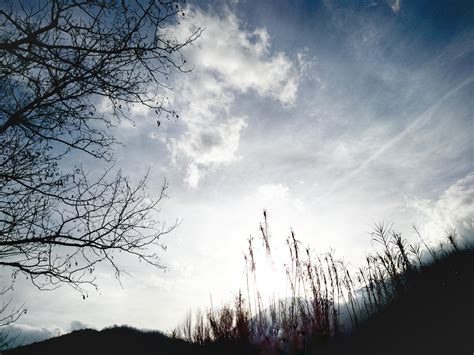 Sony Xperia 1 Iii Android 13 And Sunset R Sonyxperia