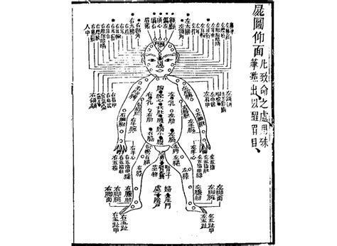 Douglas H Y Hsieh Dim Mak Dim Hsueh The Poison Hand Touch Of