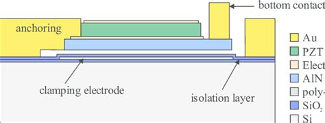 Simplified Cross Section Of Mems Actuators Download Scientific Diagram